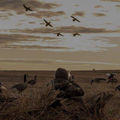 ALBERTA WATERFOWL HUNTS – Waterfowl Hunting & Big Game Hunting in ...